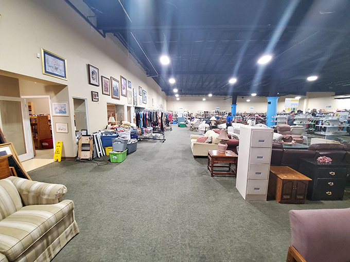 Spacious aisles and thoughtful organization make treasure hunting a pleasure rather than a chore. No Indiana Jones machete required here!