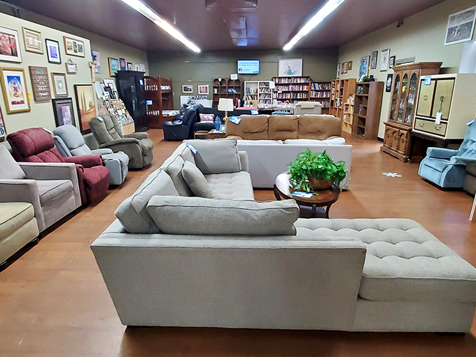 Couches arranged like a living room showroom, except here the prices won't make you need a fainting couch. That sectional has stories to tell.
