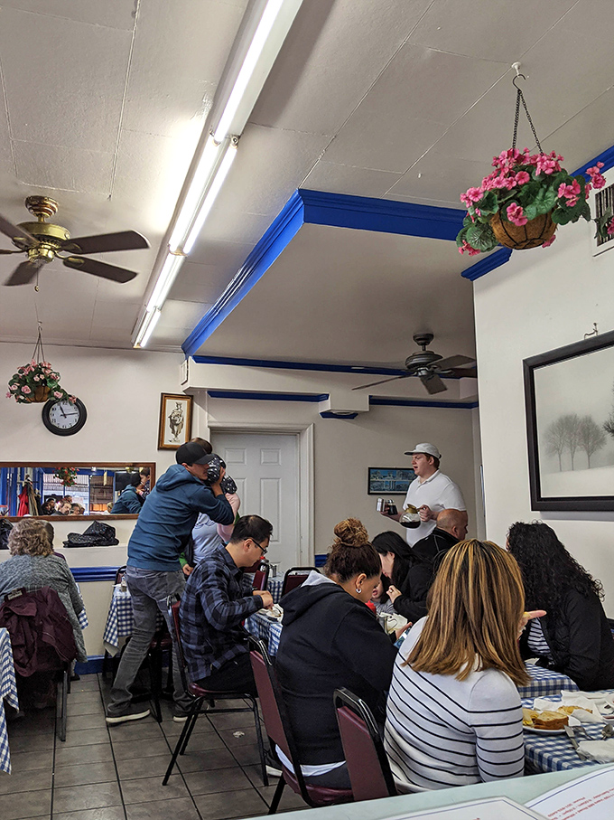 Inside, hanging plants and blue trim create that perfect diner atmosphere where calories don't count and coffee refills are practically mandatory.