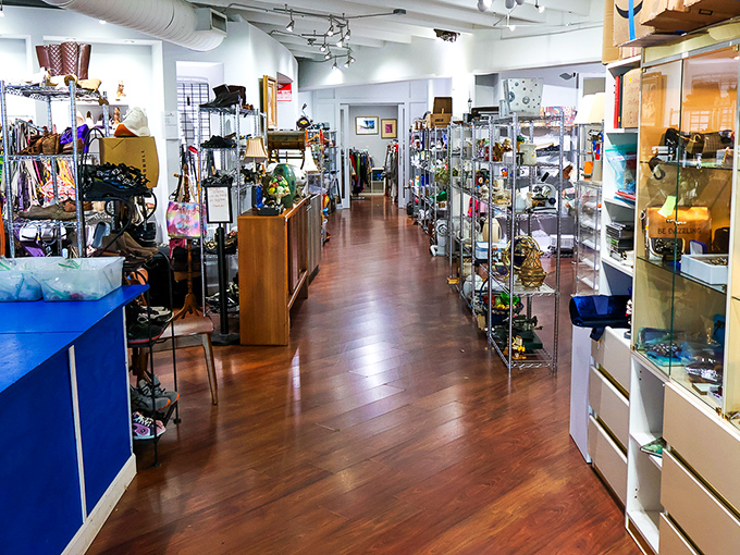 Polished wooden floors and gleaming display cases create an upscale shopping experience that makes you forget you're paying thrift store prices.