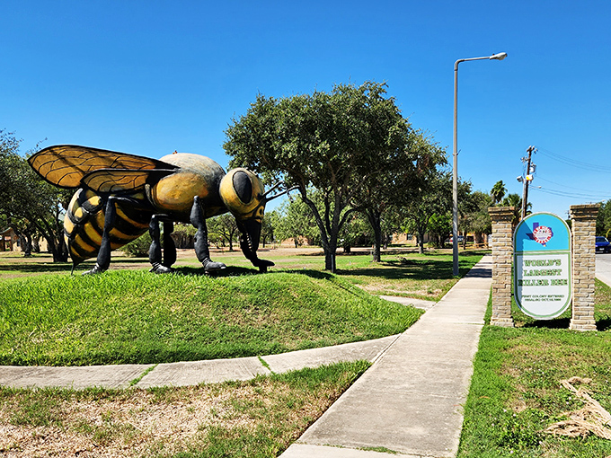 Basking in the Texas sunshine, this oversized insect has become Hidalgo's unofficial ambassador. Who knew something so feared could become so beloved?