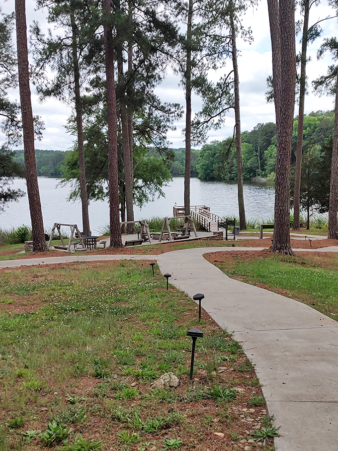 A peaceful picnic paradise nestled among towering pines, where the soundtrack is rustling leaves and distant birdsong rather than notification pings.