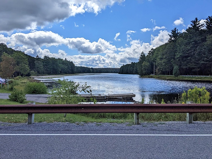Mirror, mirror on the lake&mdash;who's the fairest view of all? Black Moshannon's reflective waters answer that question with stunning clarity. 