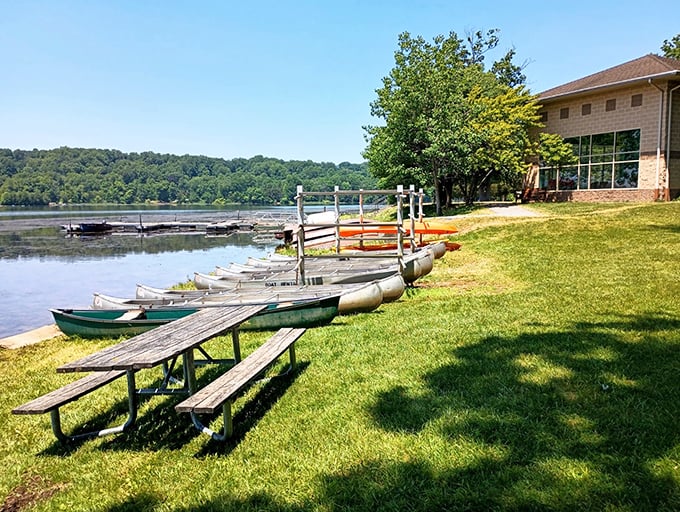 Boats wait patiently for their next adventure, like eager puppies hoping you'll pick them for a leisurely paddle across Pinchot's glassy surface.