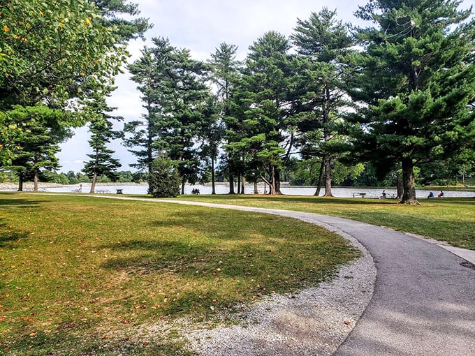Towering pines stand sentinel along Harrison Lake's shore, creating nature's perfect promenade for afternoon strolls and contemplative wanderings.