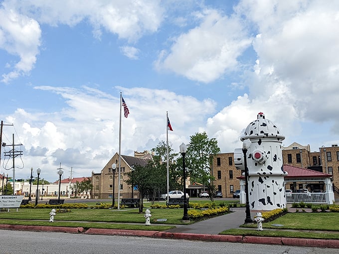 When your fire hydrant needs its own zip code, you know you've achieved true Texas-sized magnificence.