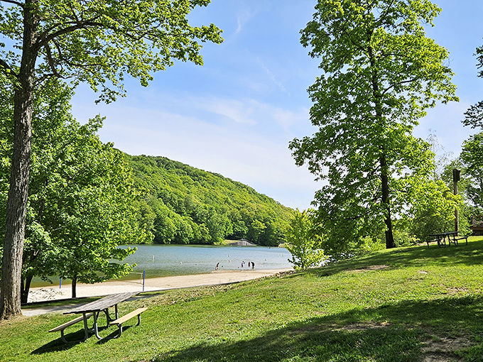 Nature's amphitheater: towering trees frame the sandy stage where families perform the timeless summer ritual of splashing and sunbathing.