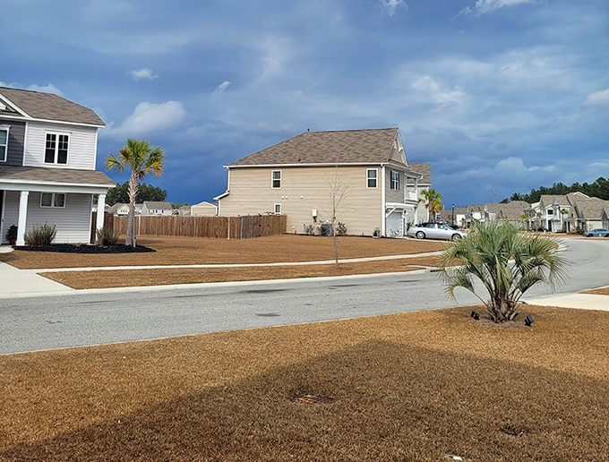 New developments blend seamlessly with Summerville's natural landscape, where palm trees stand like friendly neighborhood greeters.
