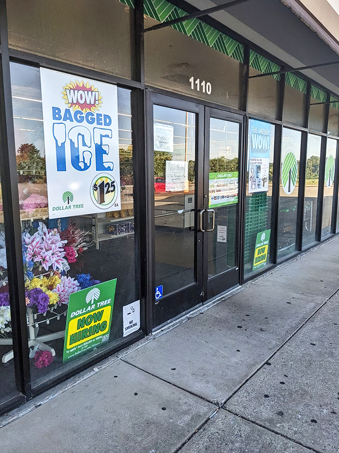 The entrance to bargain paradise! Those colorful signs promising bagged ice and seasonal flowers are like a siren song to savvy shoppers.