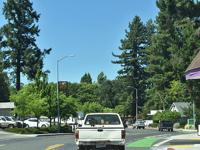 Tree-lined streets make every drive through Willits feel like you're starring in your own relaxing retirement commercial.