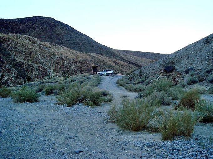 Welcome to the world's most surprising plot twist: a barren moonscape that suddenly remembers it ordered a side of oasis.