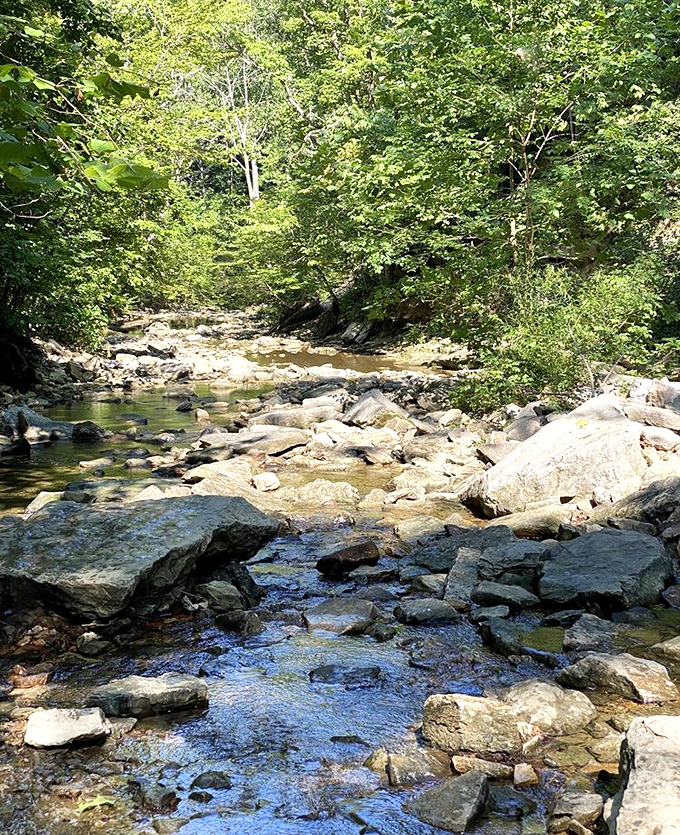 Creek therapy in session. The gentle flow of McCormick's Creek over smooth stones offers better stress relief than any meditation app on your phone.