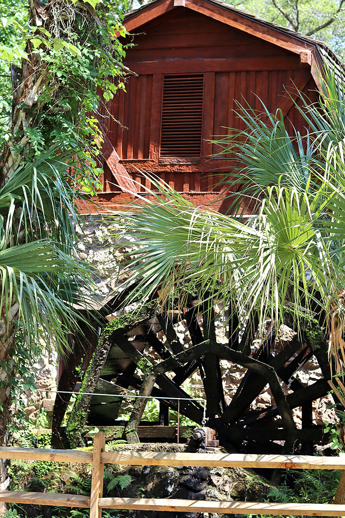 Engineering meets wilderness at the historic mill house. This rustic waterwheel once harnessed spring power long before "renewable energy" was trendy.