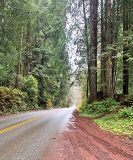 The Scenic 10-Mile Drive In California You’ve Probably Never Heard Of
