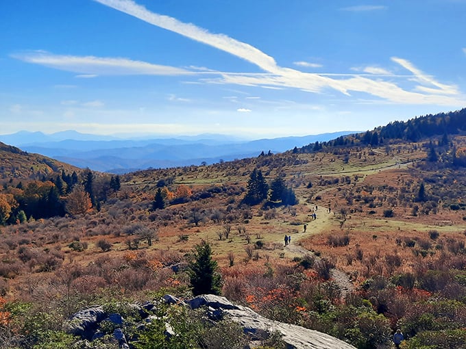 Nature's amphitheater stretches to the horizon, where rolling blue ridges fade into infinity. The Appalachian Trail's greatest hits album, played in panoramic splendor.