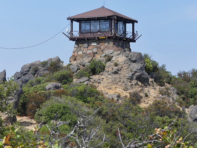 The historic fire lookout stands sentinel atop East Peak, where rangers once spotted smoke and visitors now spot jaw-dropping views of the entire Bay Area.