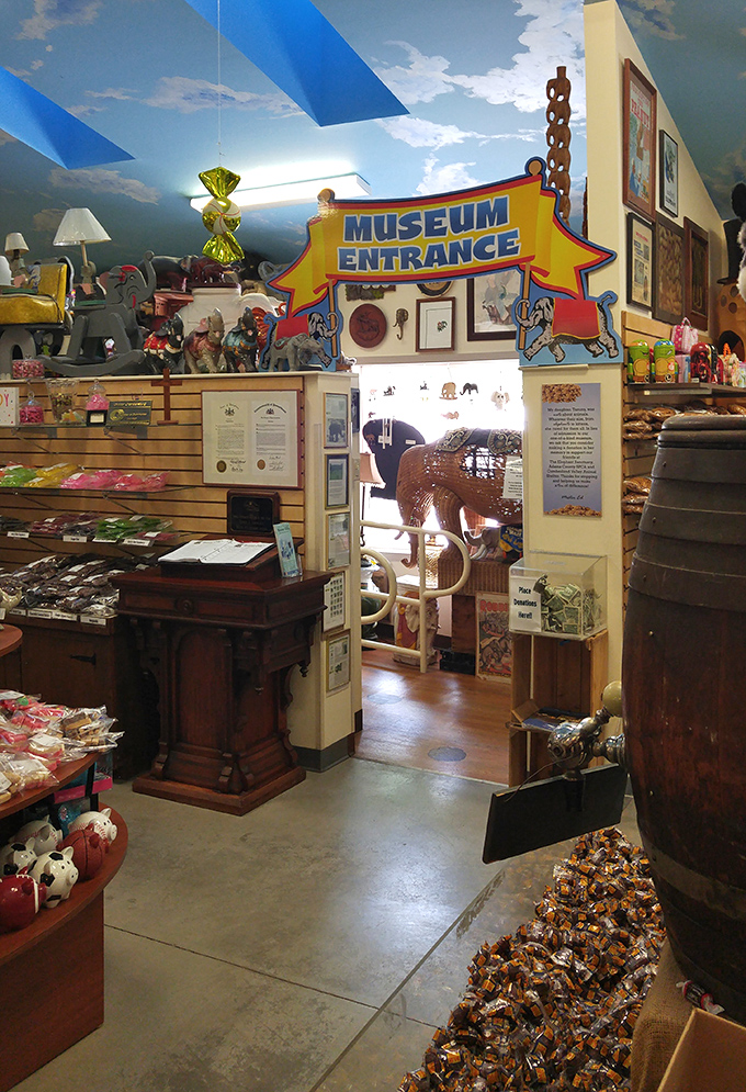 Step through this whimsical entrance and prepare for pachyderm paradise. The museum beckons with trunk-filled treasures beyond.