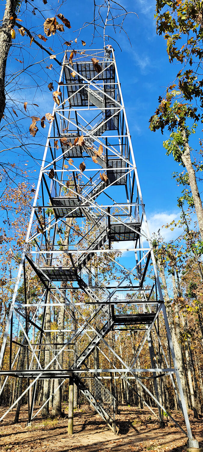 This observation tower isn't just stairs&mdash;it's a stairway to heaven for view-chasers. Each step brings you closer to what eagles see every day without even trying.