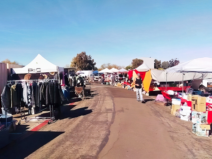 Morning sunlight bathes the rows of white canopies, creating a bazaar-like atmosphere where savvy shoppers navigate with the strategy of chess grandmasters.