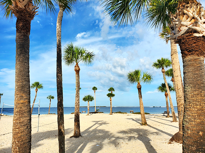 Nature's own cathedral, where palm fronds whisper secrets and the sand holds court beneath your feet.