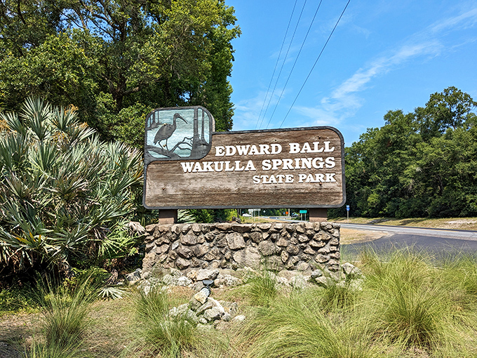 Even the park entrance sign looks like it's posing for a postcard - Florida's natural beauty starts immediately.