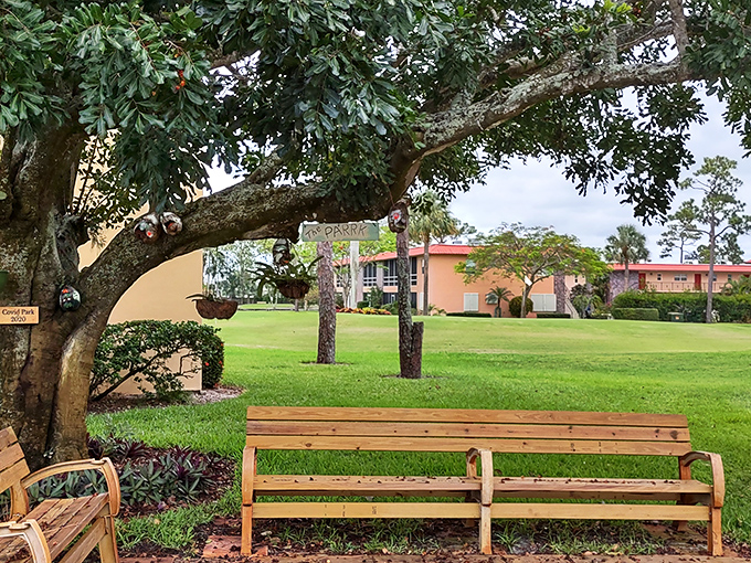 Nature's waiting room: wooden benches beneath a canopy of leaves where conversations bloom as reliably as Florida sunshine.