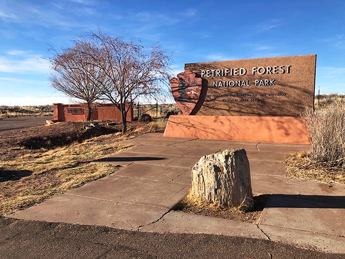 Welcome to prehistoric paradise! This entrance sign gives no hint of the mind-blowing time travel awaiting just beyond those unassuming doors. 