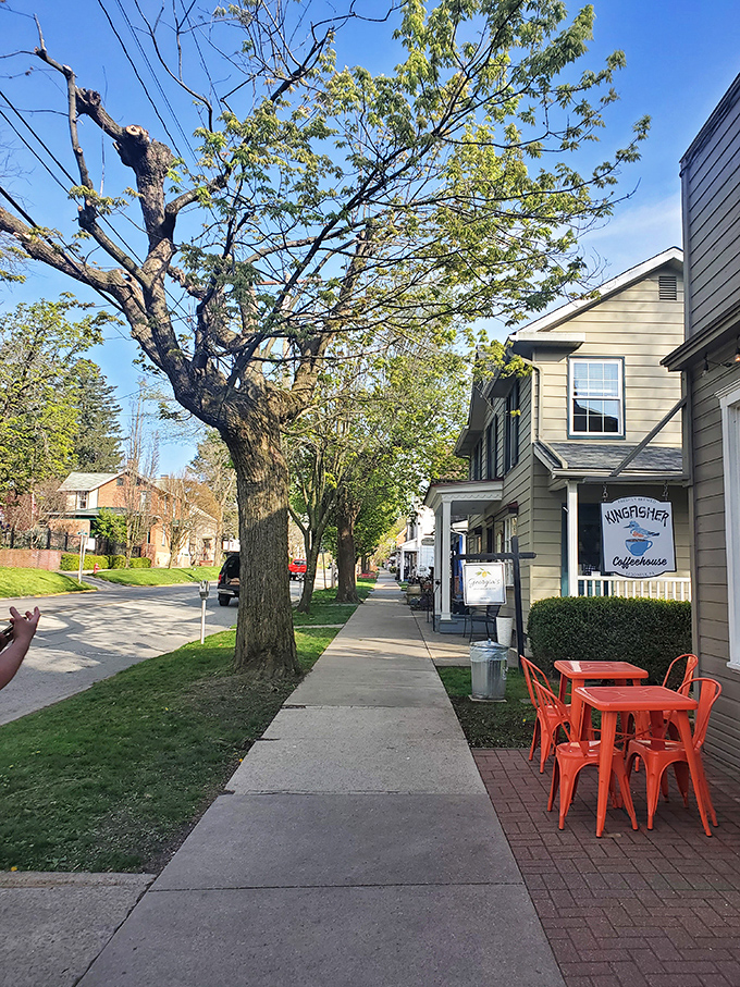 Tree-lined sidewalks invite leisurely strolls past local treasures that chain stores simply can't replicate.