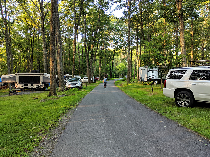 Camping nirvana where trees meet convenience. The perfect spot to pretend you're roughing it while still having your morning coffee maker within reach.
