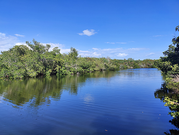 Mother Nature's infinity pool &ndash; where mangroves dip their tangled roots into crystal waters that seem to stretch forever into the horizon.