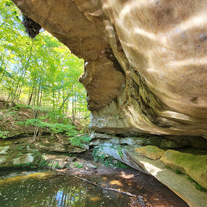 Nature's own architectural marvel, where ancient sandstone creates shelter from life's daily storms wonderfully.