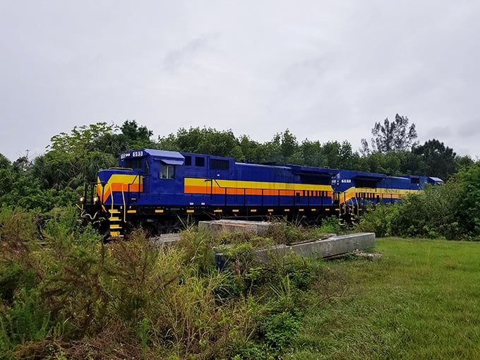Nature reclaims its edges around the tracks as the vibrant train slices through Florida's lush landscape, a colorful intruder in the best possible way.