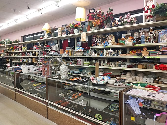 Treasure hunter's paradise: where yesterday's knick-knacks become tomorrow's conversation pieces, all waiting to find new homes.