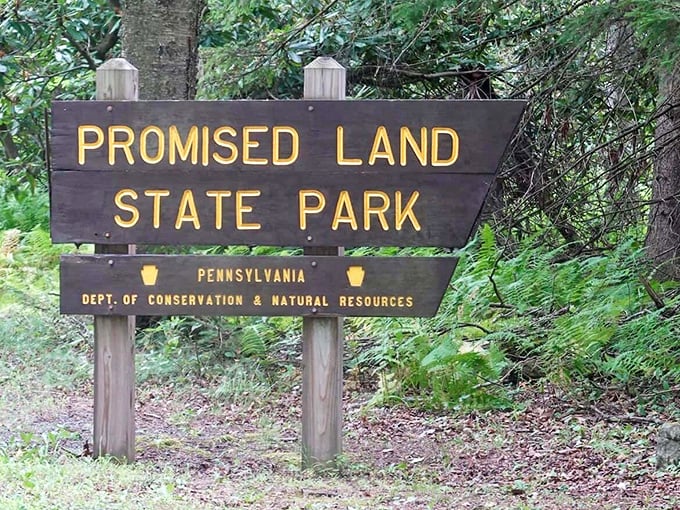 The wooden sign stands as a promise itself &ndash; beyond this point lies natural splendor that makes your smartphone wallpaper look like amateur hour.