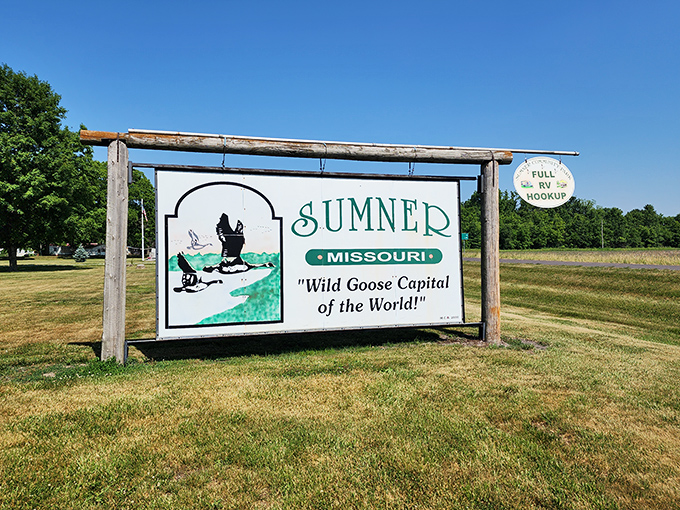 "Wild Goose Capital of the World!" proclaims Sumner's welcome sign, setting expectations that are, remarkably, not disappointed.