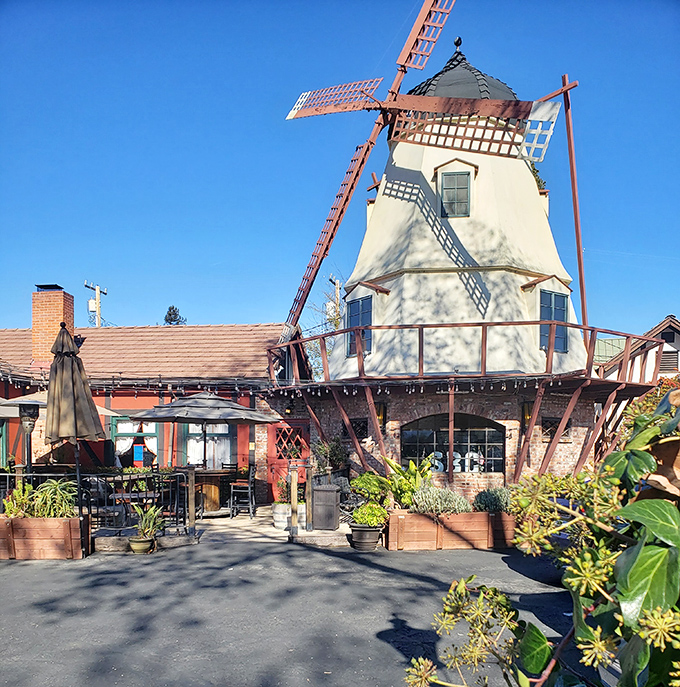 This windmill isn't just for show—it's the town's unofficial mascot. Don Quixote would have a field day tilting at this photogenic landmark.