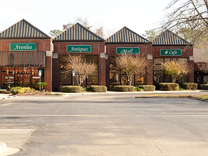 Four distinct storefronts, one magnificent obsession. Avonlea's brick façade promises adventure for anyone who remembers rotary phones and vinyl records.