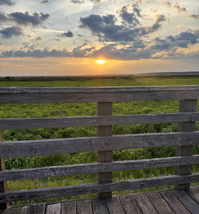 Golden hour at the prairie transforms this ancient landscape into something straight out of a National Geographic dream.