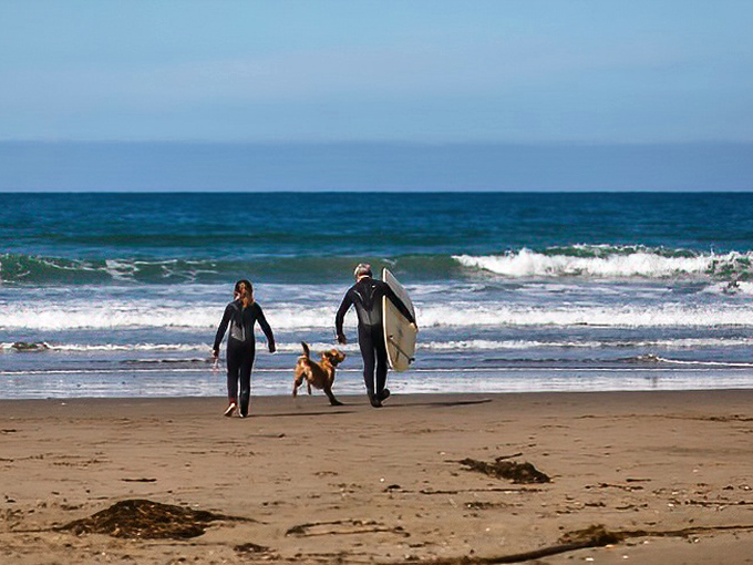 When even your morning beach walk includes professional-grade wetsuits, you know you've found California's surfing sweet spot.