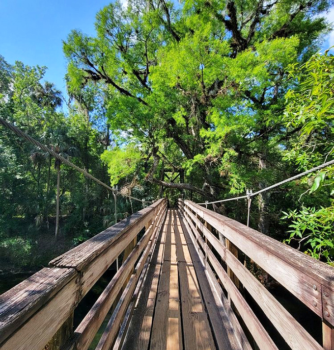 This suspension bridge isn't just a crossing &ndash; it's a time machine built by the CCC boys who clearly never heard of vertigo.