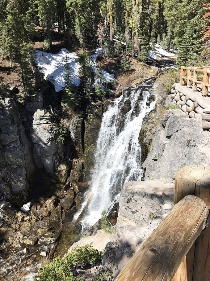 Spring's dramatic performance &ndash; melting snow transforms this peaceful creek into a thundering spectacle viewed safely from the wooden observation platform.