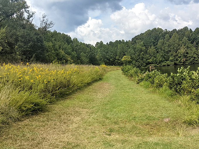 Nature's perfect balance of wild and tamed &ndash; this trail beckons with golden wildflowers on one side and the serene lake on the other.