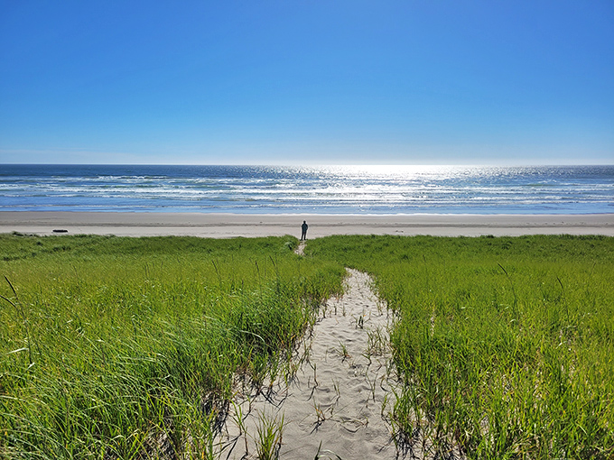 The Oregon coast's version of a welcome mat: golden grasses, endless horizon, and the promise of solitude just a few steps away.