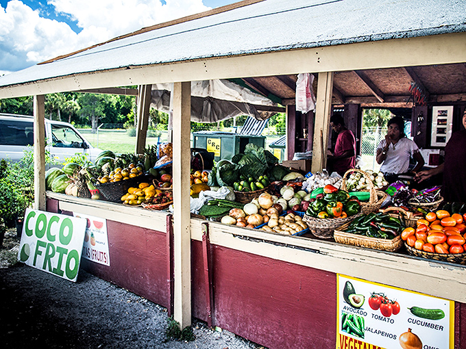 Nature's color palette on full display! This produce stand's "Coco Frio" sign promises cool refreshment after you've loaded up on avocados and mangoes.
