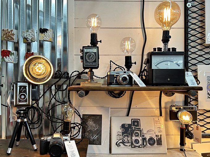 Vintage cameras find new life as artistic lighting fixtures. Who knew your grandfather's Kodak could illuminate both memories and living rooms?