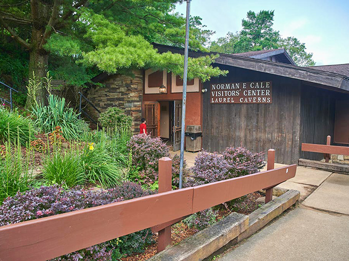 First impressions matter, and the Norman E. Cale Visitors Center nails it with rustic charm. This welcoming outpost sits atop Chestnut Ridge, your gateway to Pennsylvania's subterranean wonderland.