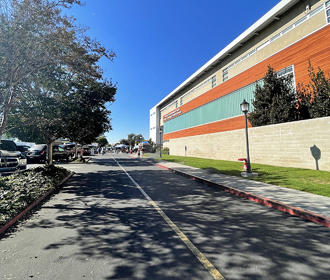 Mountains of clothing await their second chance at fashion glory. One shopper's castoff becomes another's signature piece.