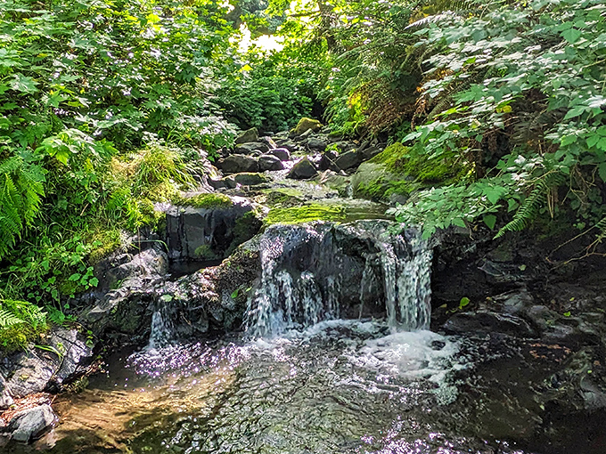 This babbling brook whispers secrets that only the ancient trees above seem to understand completely.