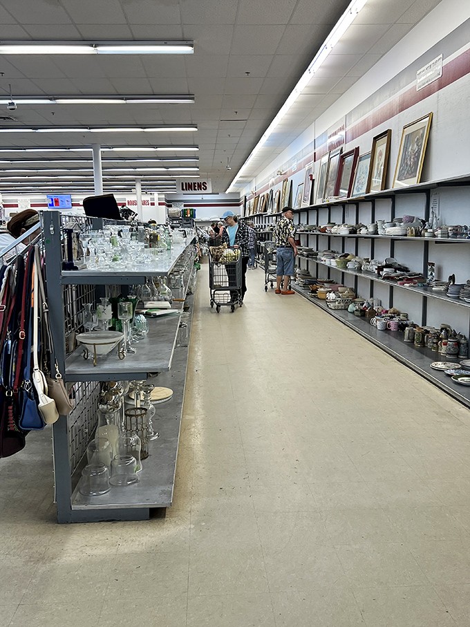 Aisles that stretch to infinity, where one shopper's cart holds tomorrow's conversation pieces. The thrill of the hunt begins here.