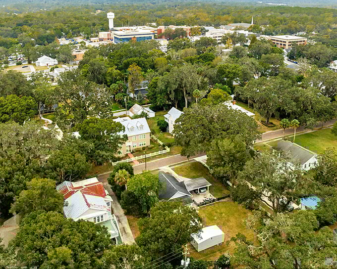 From above, Brooksville reveals its secret weapon: a canopy of trees providing natural air conditioning that no beachfront condo can match.